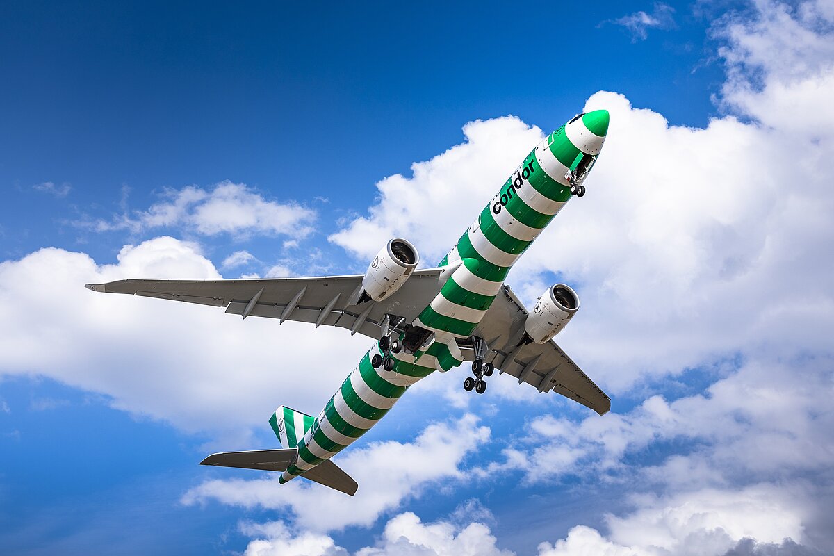 Condor: Condor Releases Summer 2026 Flight Schedule